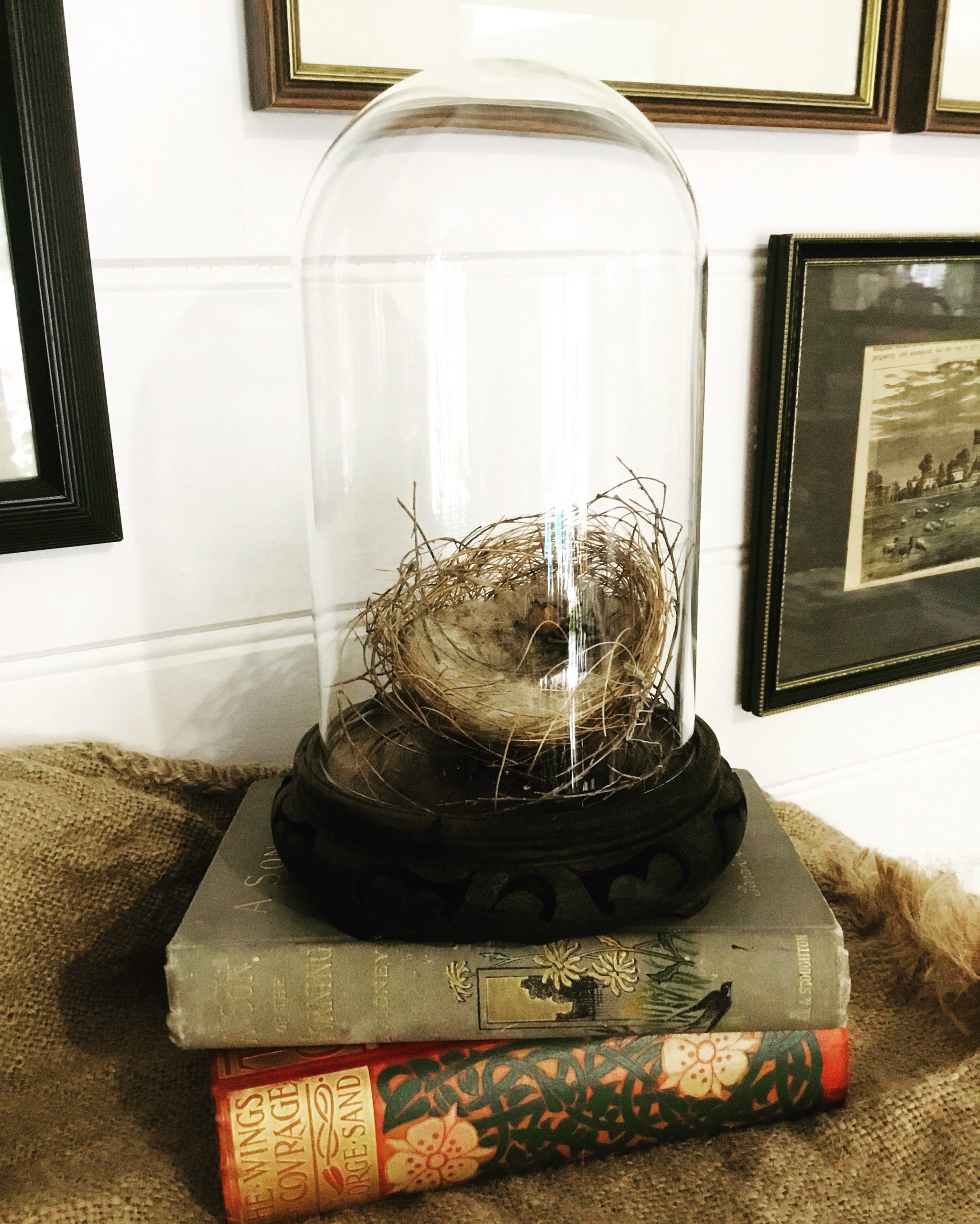 Shop - Found Vintage Australia